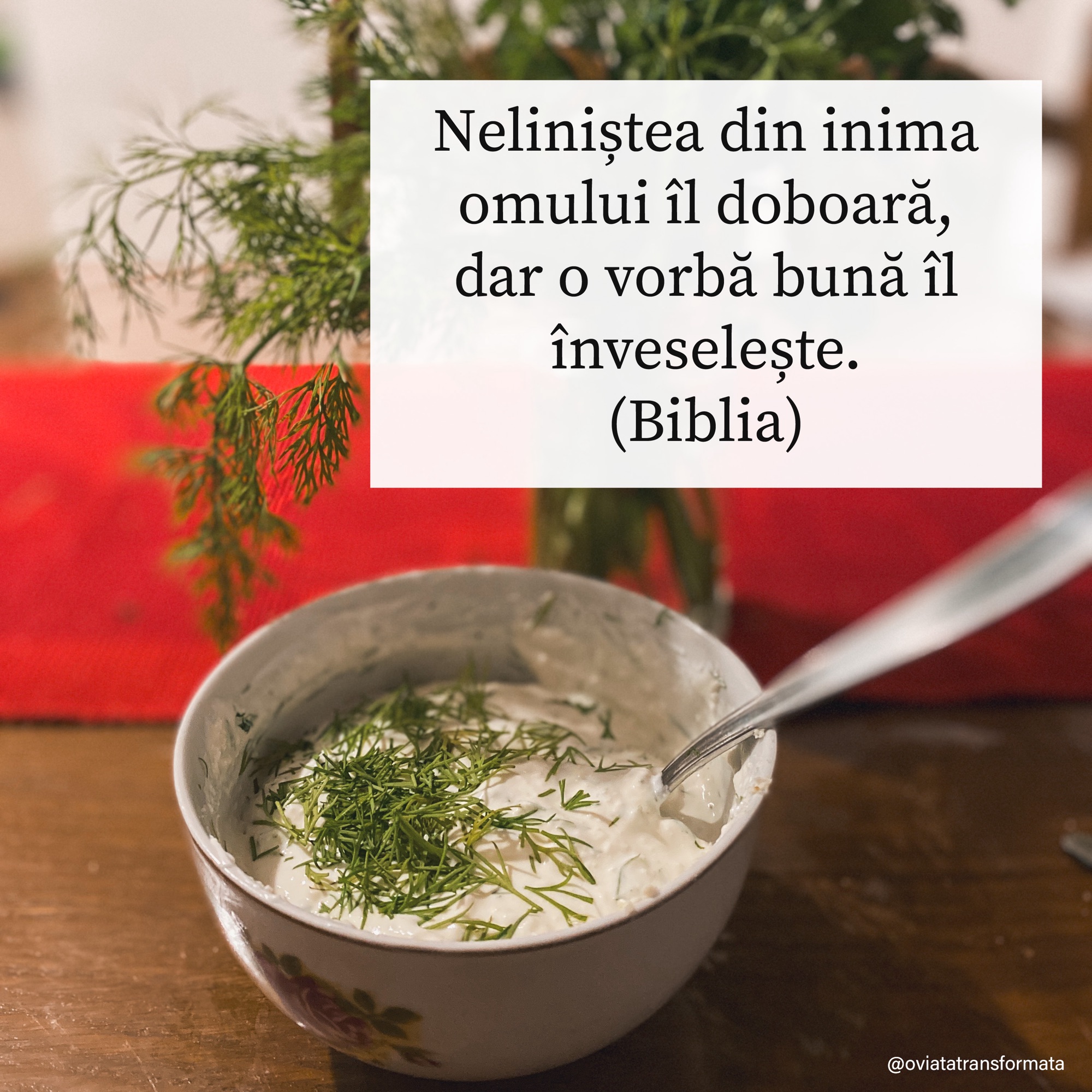 Doar o vorbă bună – O viață transformată